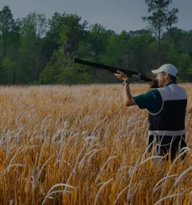 Home - Streamsong Resort