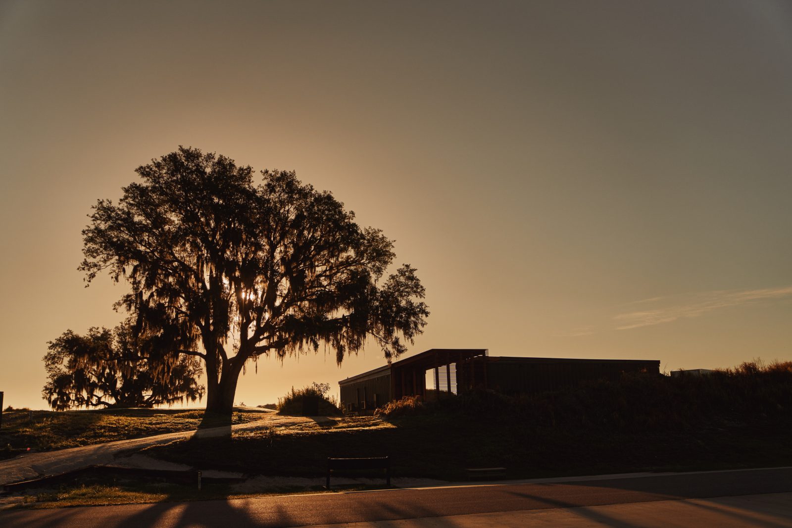 The Chain - Streamsong Resort